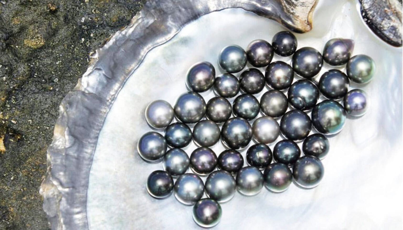 Pearl Meaning and Symbolism: The Myths Behind These Sea Gems - Aurora ...