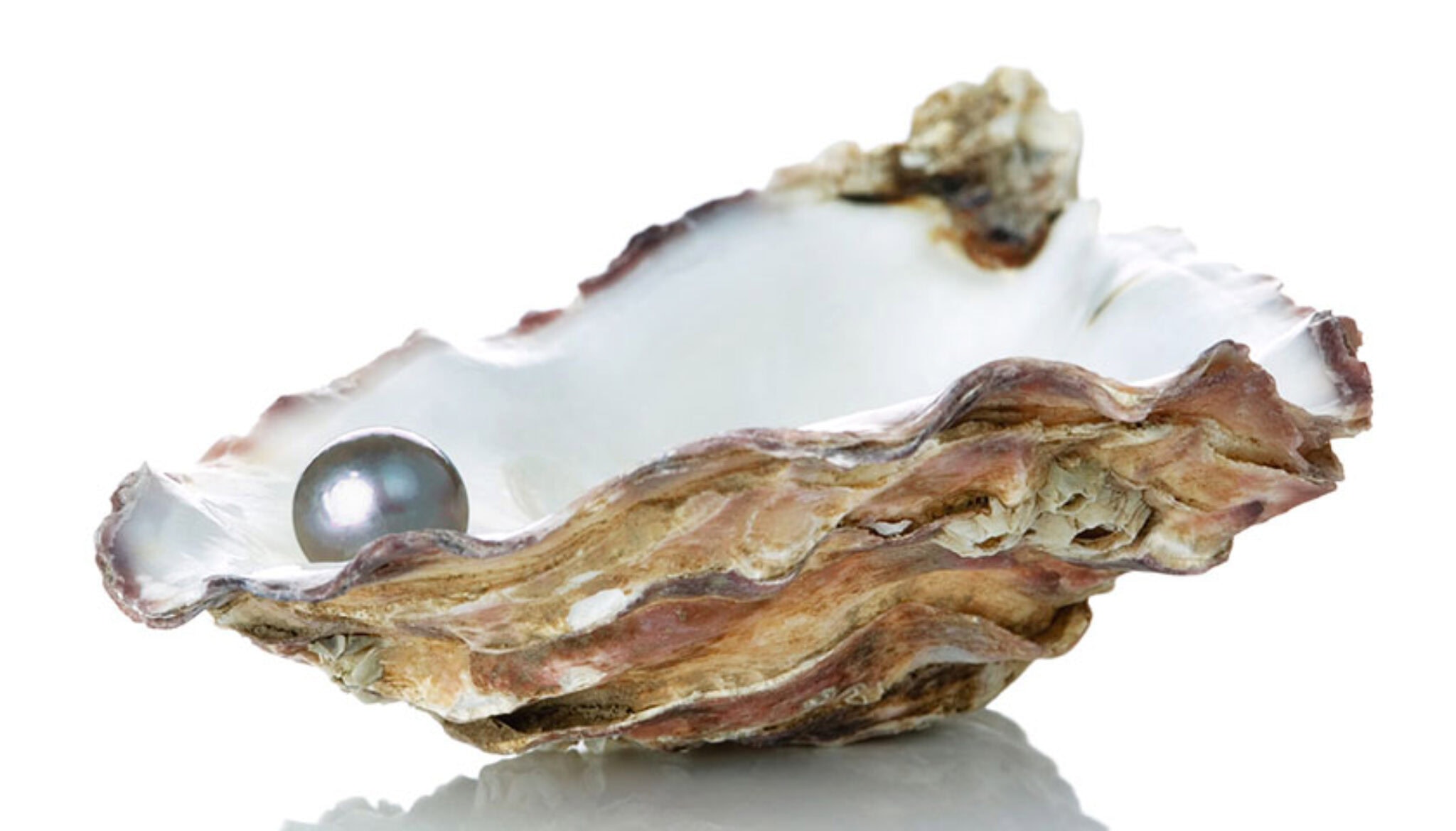 Pearl Meaning and Symbolism: The Myths Behind These Sea Gems - Aurora ...