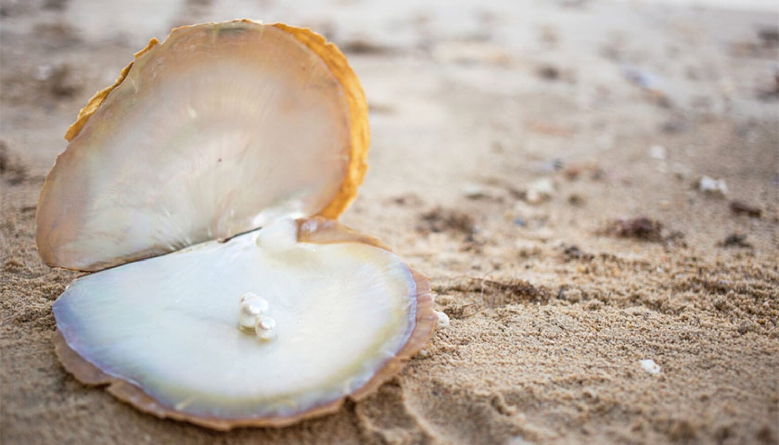 Pearl Meaning and Symbolism: The Myths Behind These Sea Gems - Aurora ...