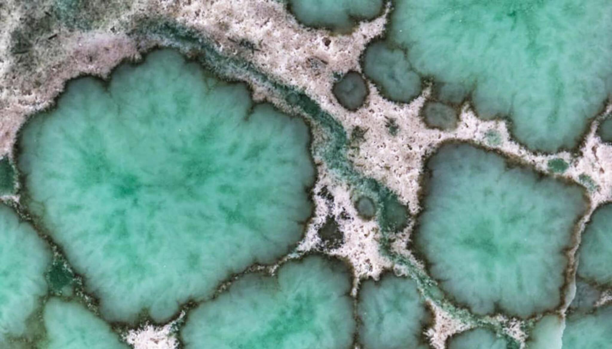 Variscite Meaning Properties Benefits Uses - Aurora Gems The Crystal ...