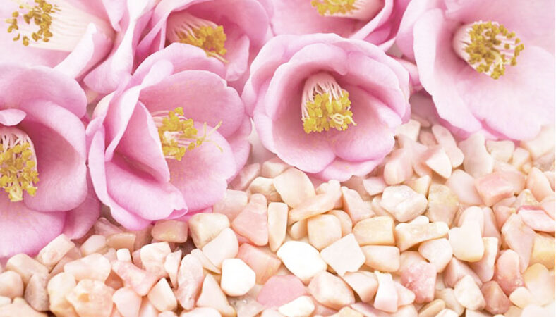 Pink Opal Meaning Properties Benefits Uses - Aurora Gems The Crystal ...