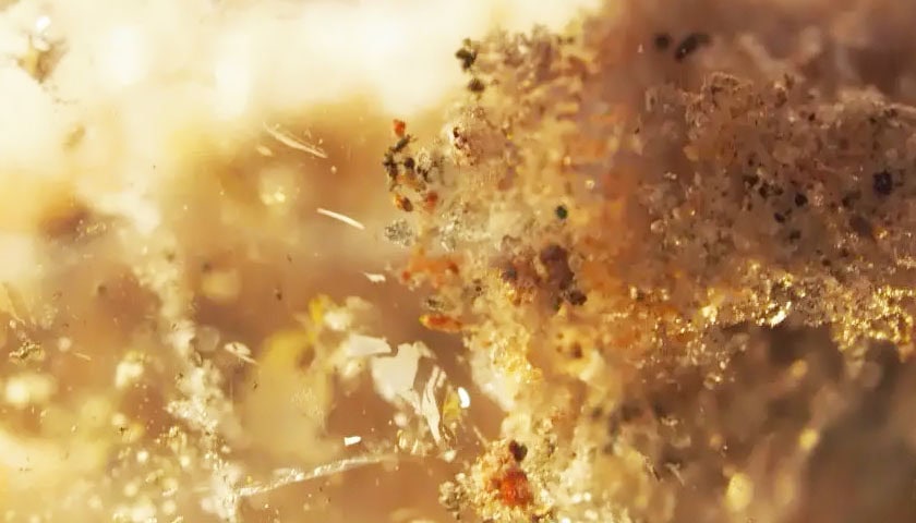 Landscape Quartz Meaning Properties Benefits Uses - Aurora Gems The ...