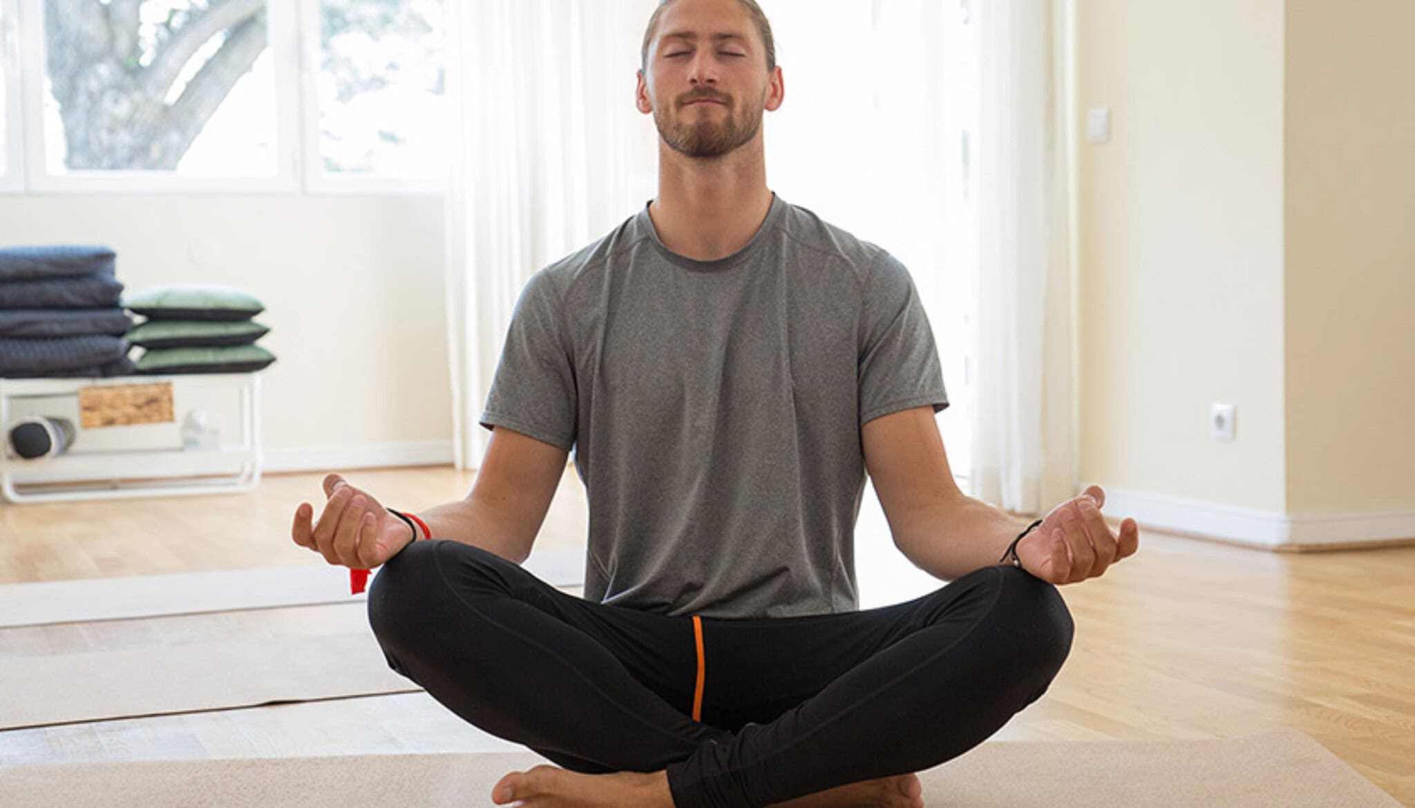 Merlinite Meaning Properties Benefits Uses - Aurora Gems The Crystal ...