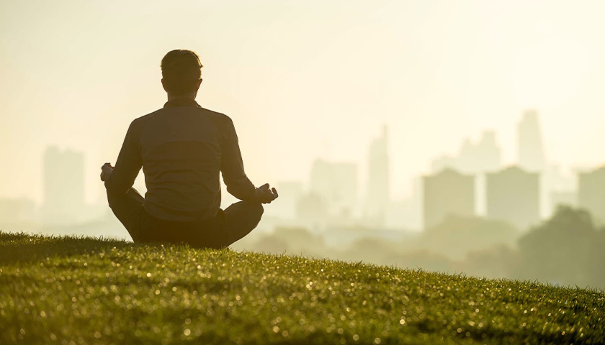 Understanding Augite: A Comprehensive Exploration - Aurora Gems The ...