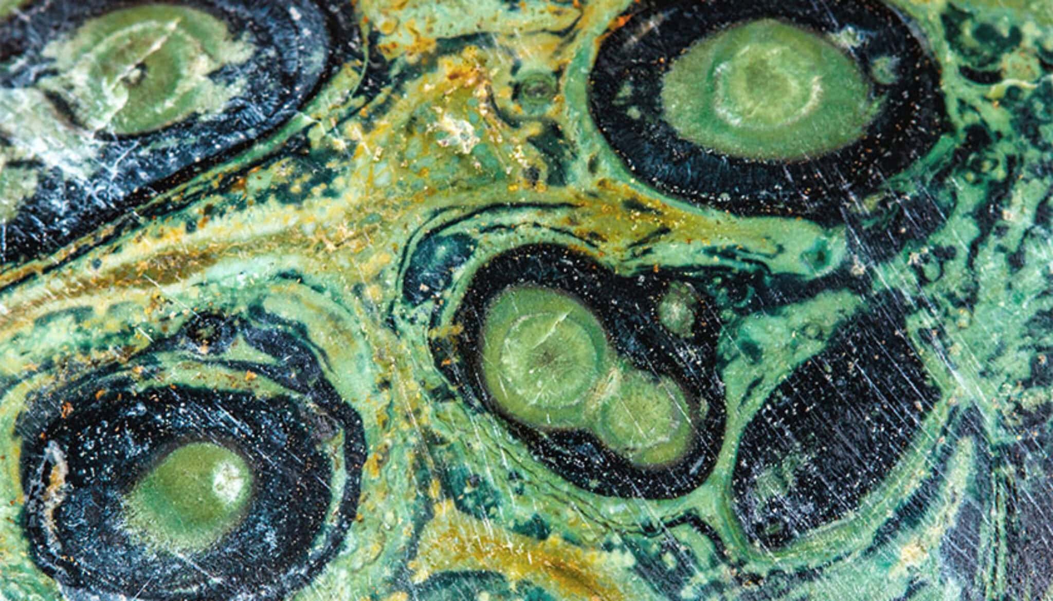Kambaba Jasper Meaning Properties Benefits Uses - Aurora Gems The ...